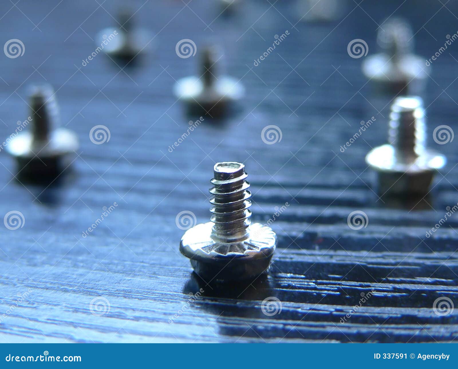 Computer screws stock image. Image of business, crosscut - 337591