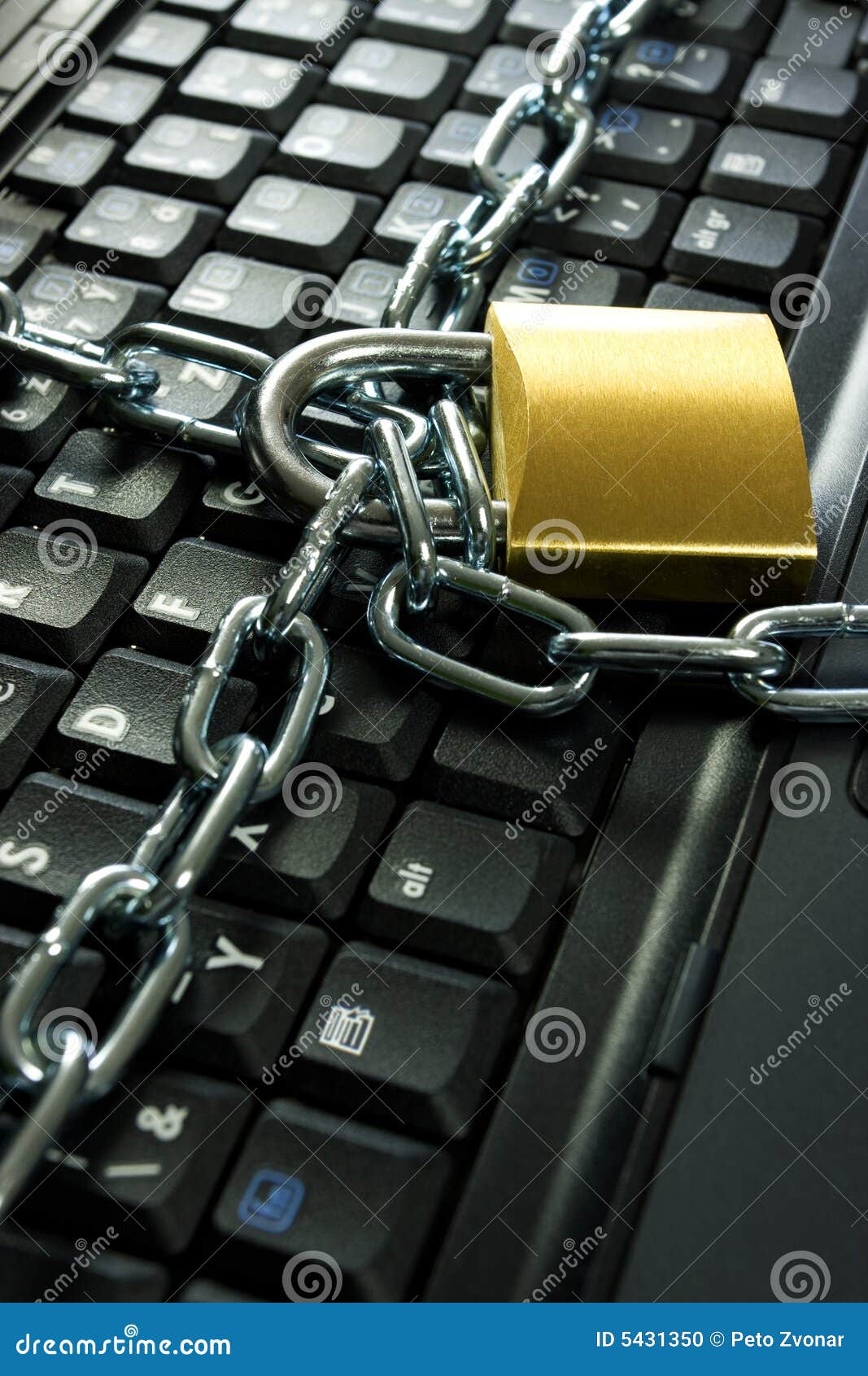 Computer security stock photo. Image of padlock, desktop - 5431350