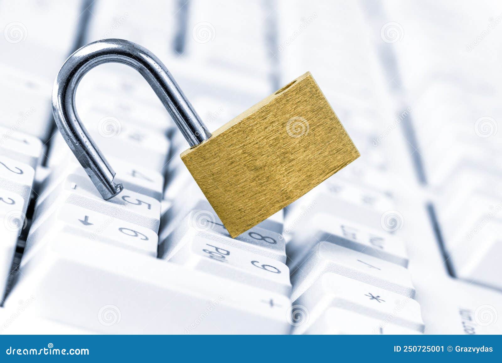 Computer security break up stock image. Image of business - 250725001