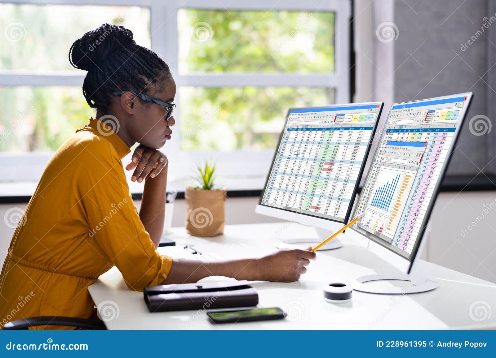 Computer Spreadsheet Data Analyst Woman Stock Image - Image of chart ...