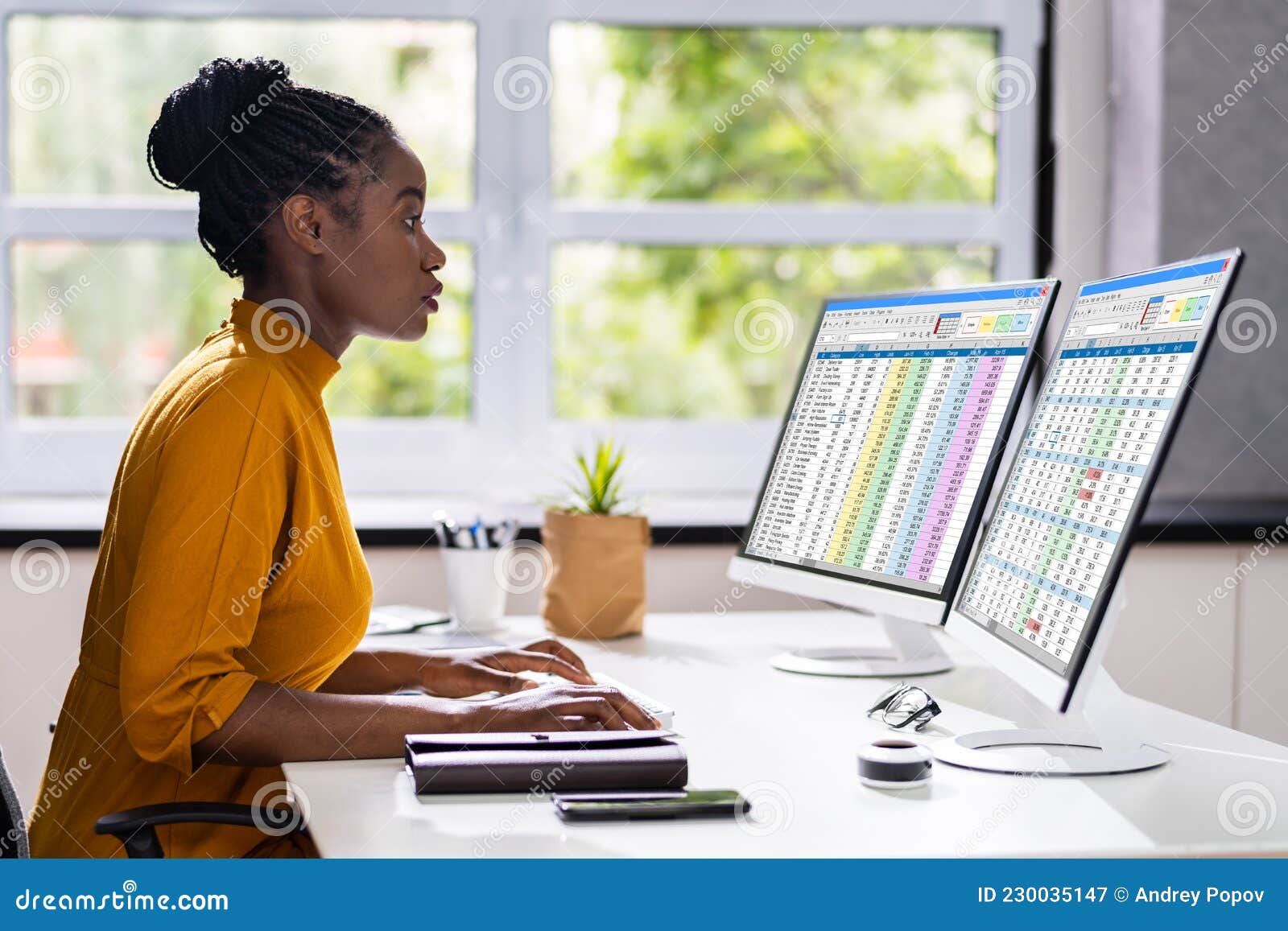 Computer Spreadsheet Data Analyst Woman Stock Image - Image of office ...