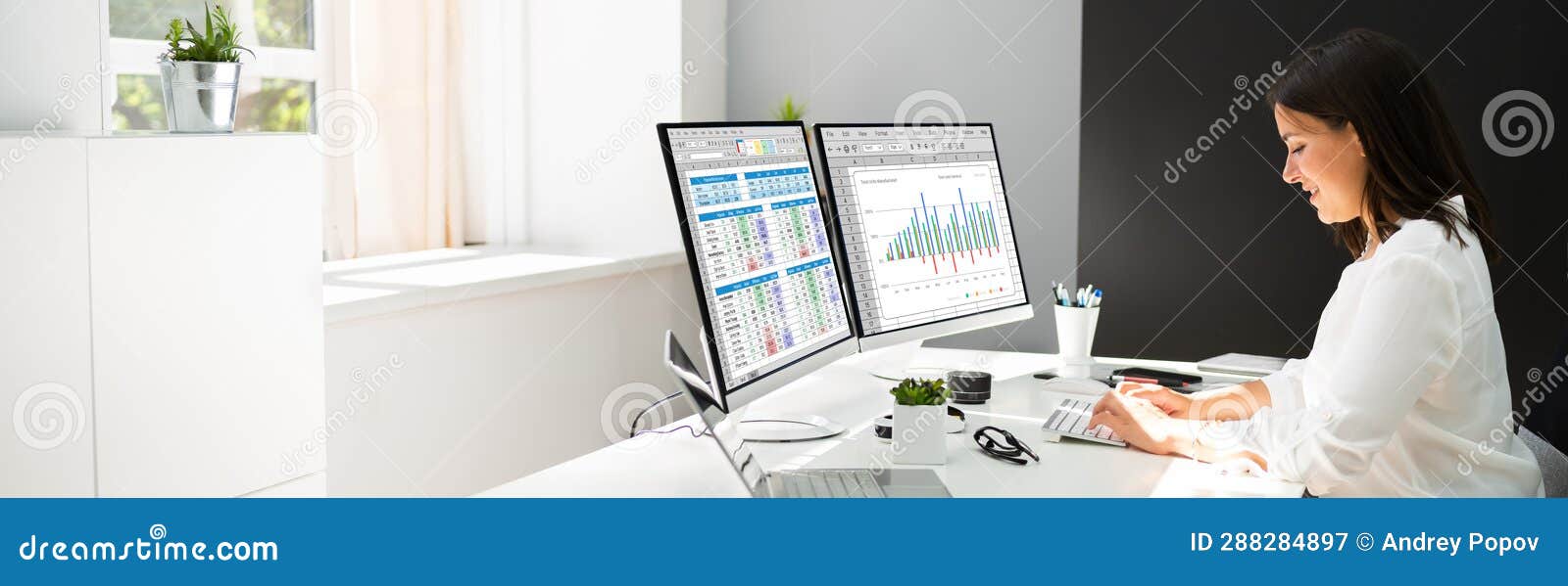 Computer Spreadsheet Data Analyst Woman Stock Image - Image of data ...