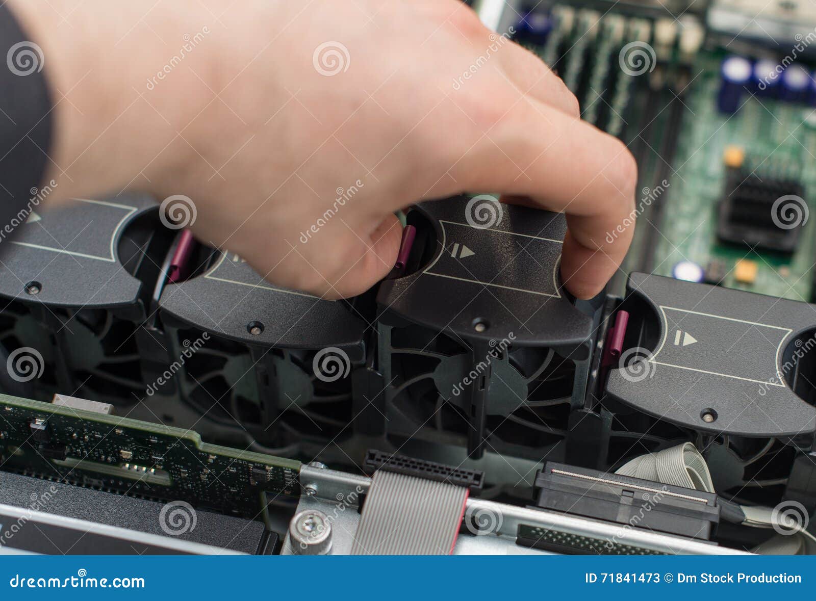 Computer Technician Installing Cooler Fan. Stock Image - Image of ...
