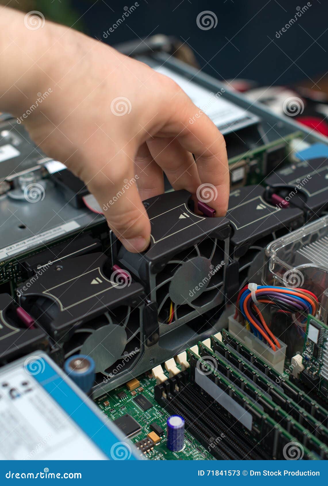 Computer Technician Installing Cooler Fan. Stock Image - Image of ...