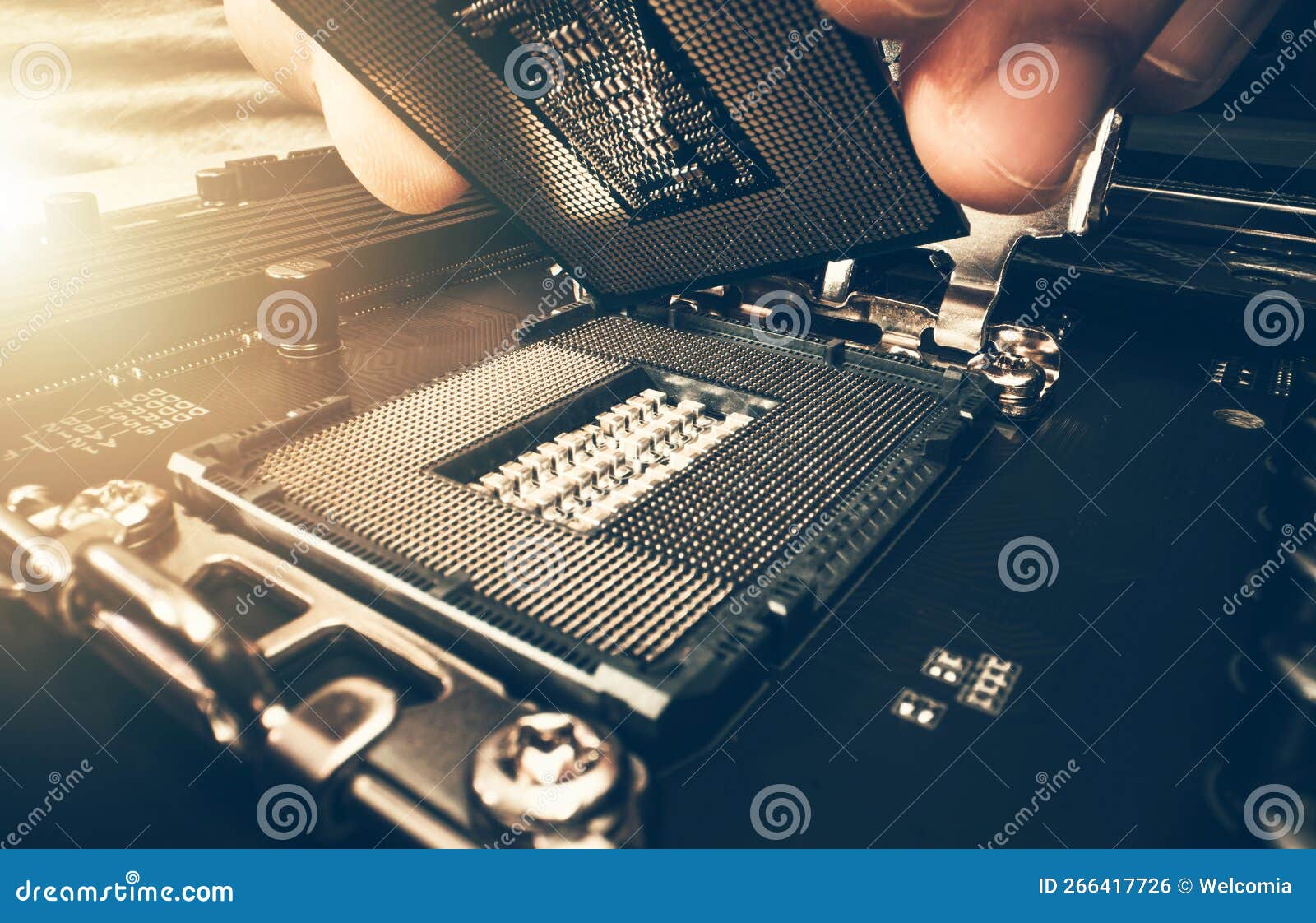 Computer Technician Installing New Modern Processor Stock Photo - Image ...