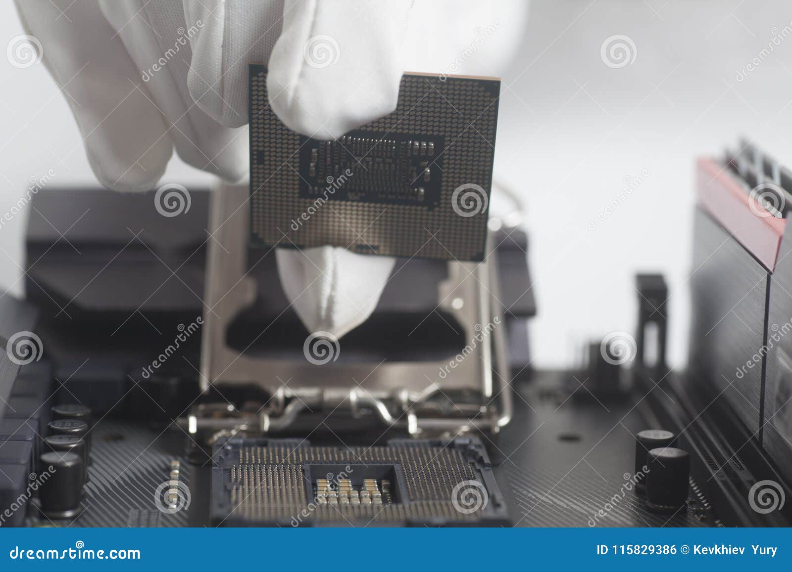 Computer Technician Wearing White Gloves Installing CPU into ...
