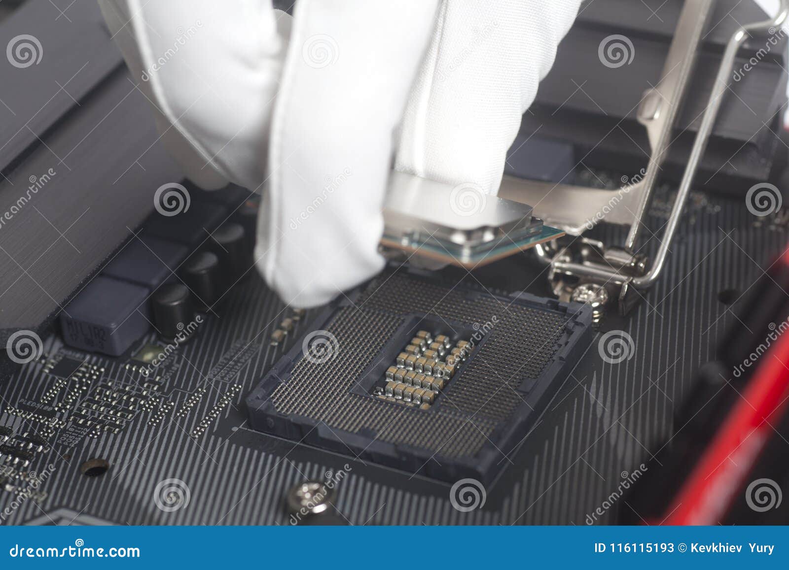 Computer Technician Wearing White Gloves Installing CPU into ... Computer Technician Wearing White Gloves Installing CPU into ...