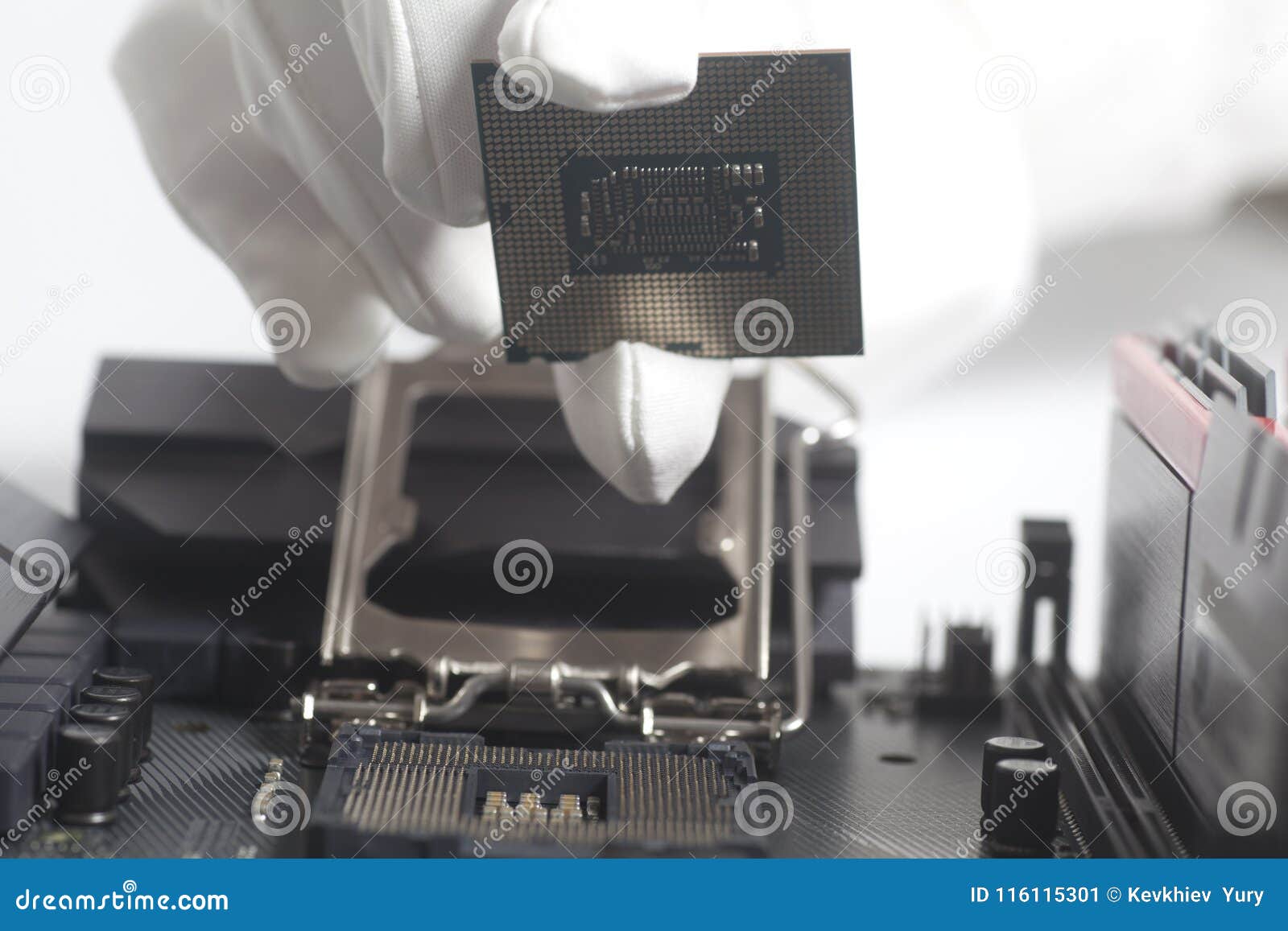 Computer Technician Wearing White Gloves Installing CPU into ...