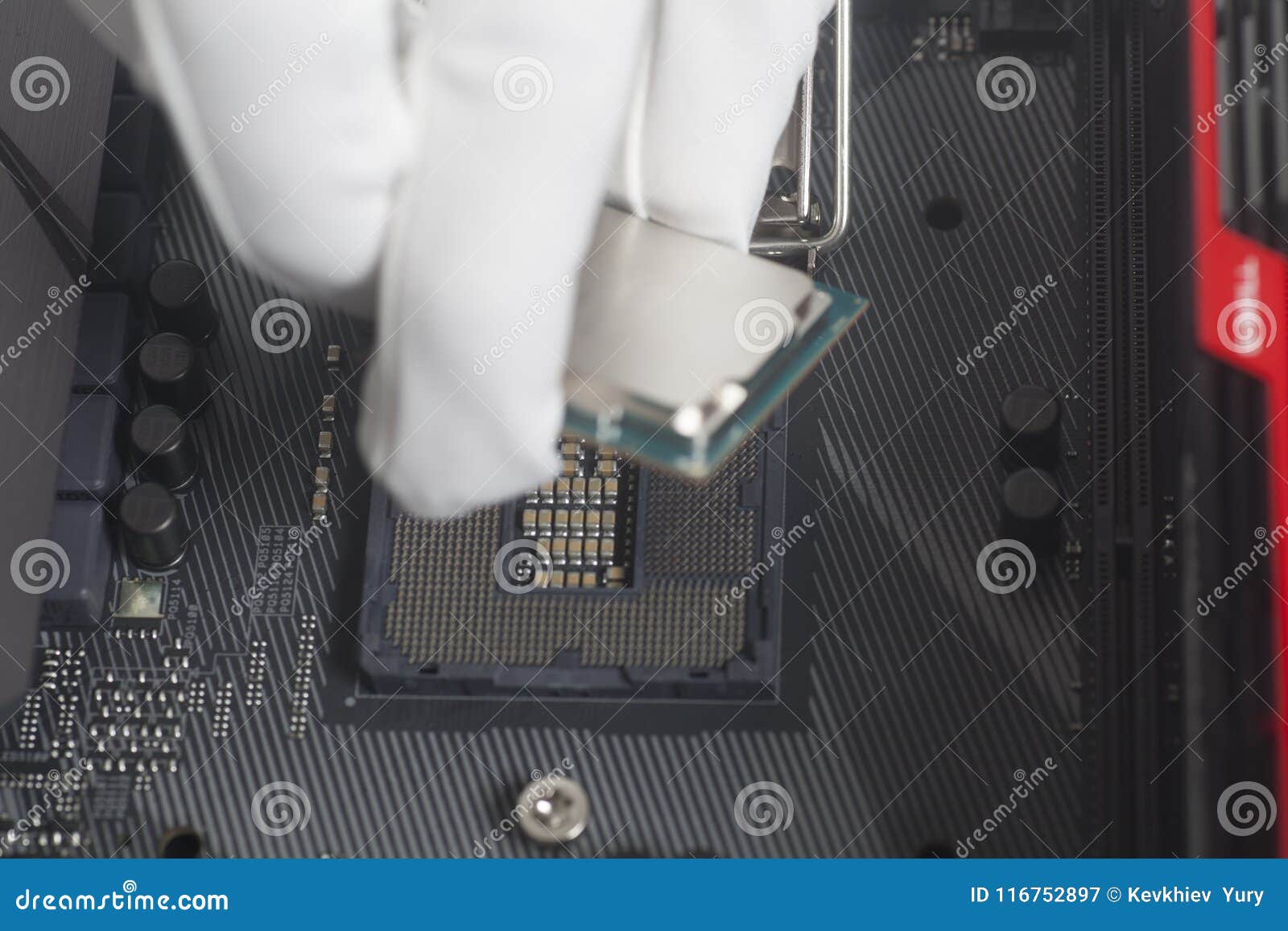 Computer Technician Wearing White Gloves Installing CPU into ...