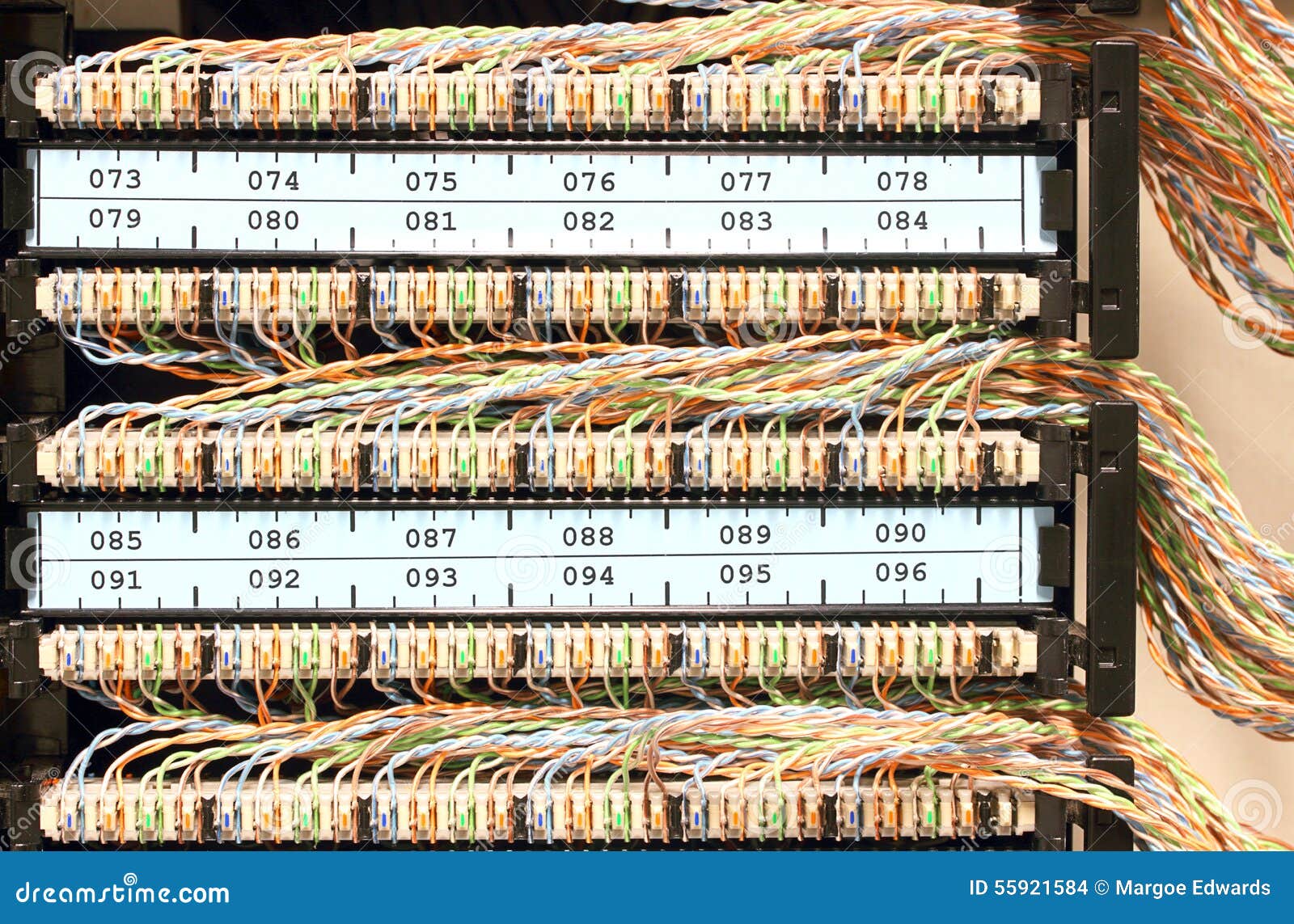Computer wiring rack stock photo. Image of patch, blue - 55921584