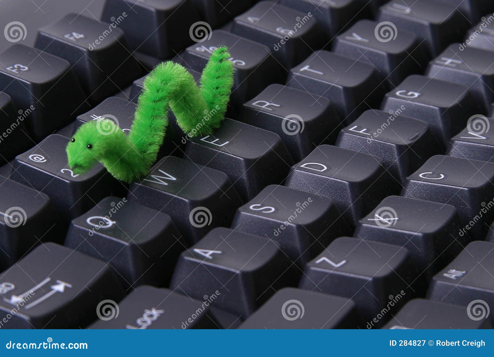 Computer worm stock image. Image of network, macintosh - 284827