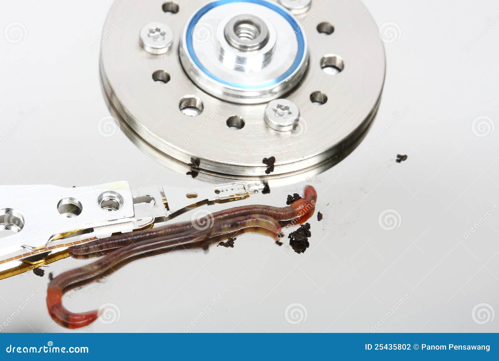 Computer worm and virus stock photo. Image of disk, memory - 25435802