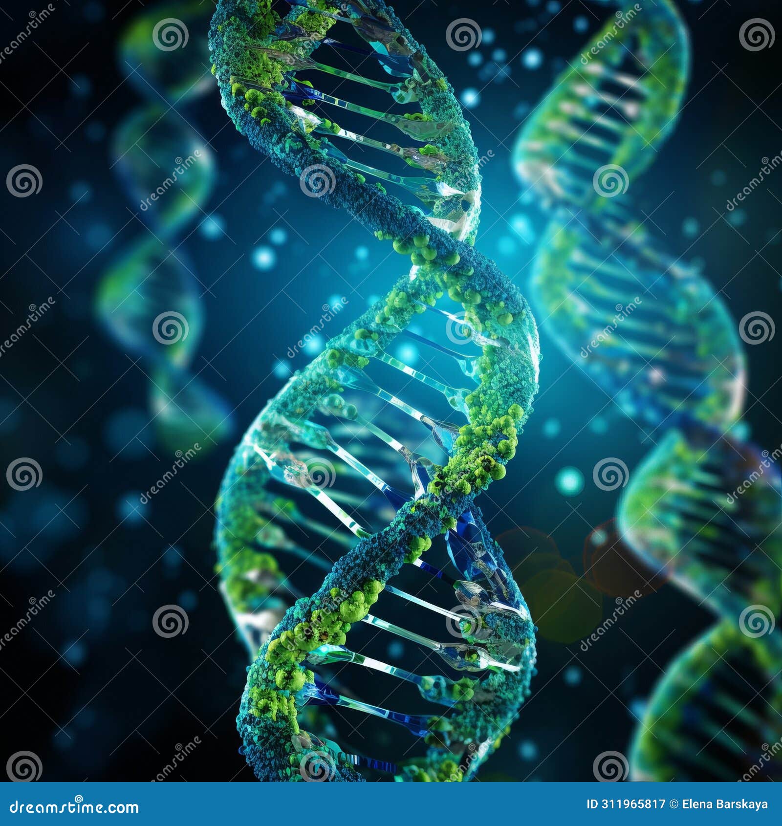 Computergenerated Image of DNA Strand with Green Algae Underwater Stock ...