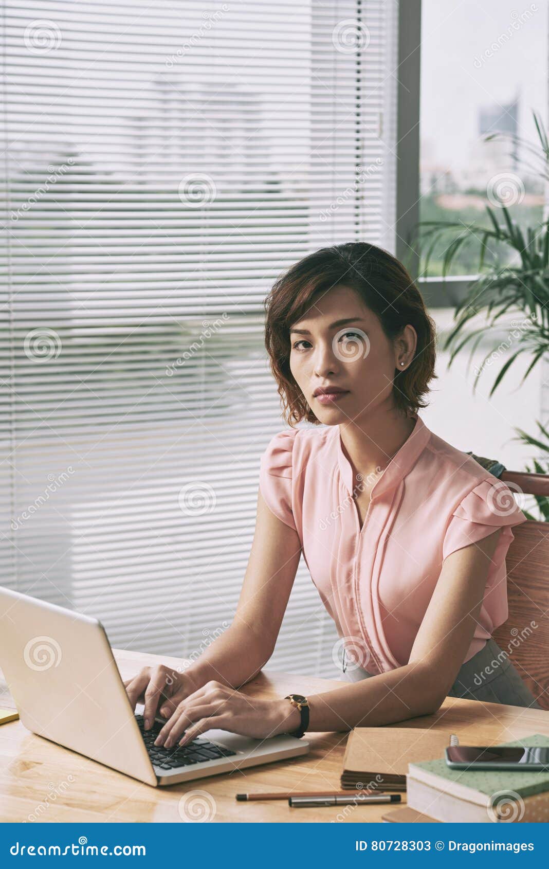 Computing lady stock image. Image of technology, computer - 80728303