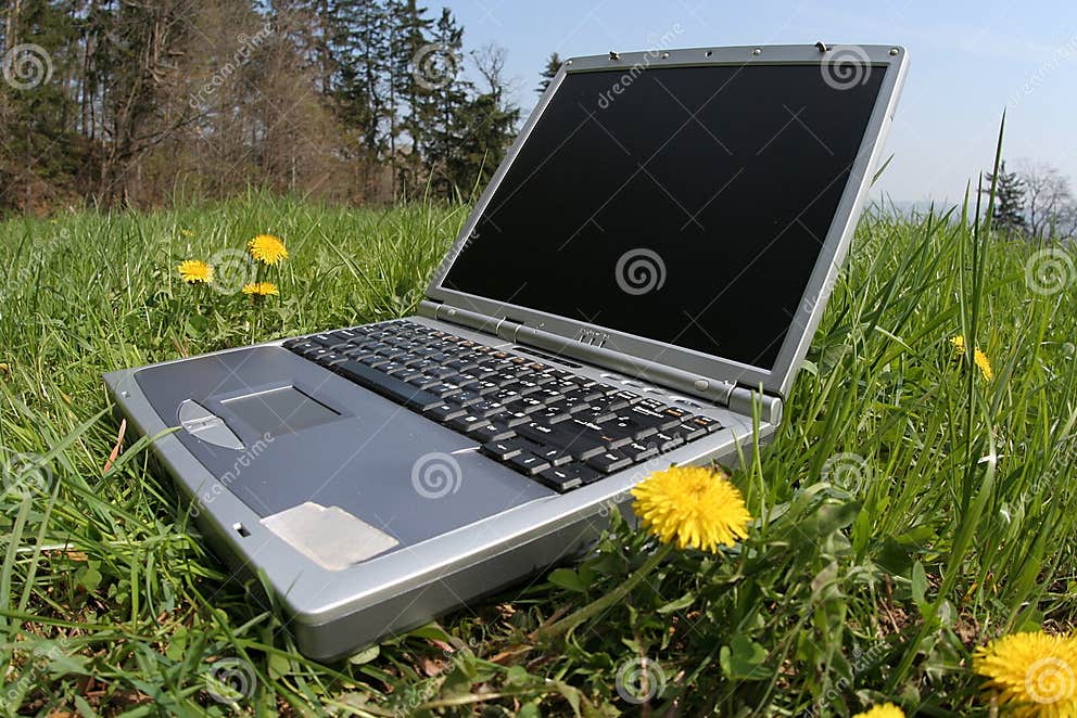 Computing outdoors stock photo. Image of outside, laptop - 271428