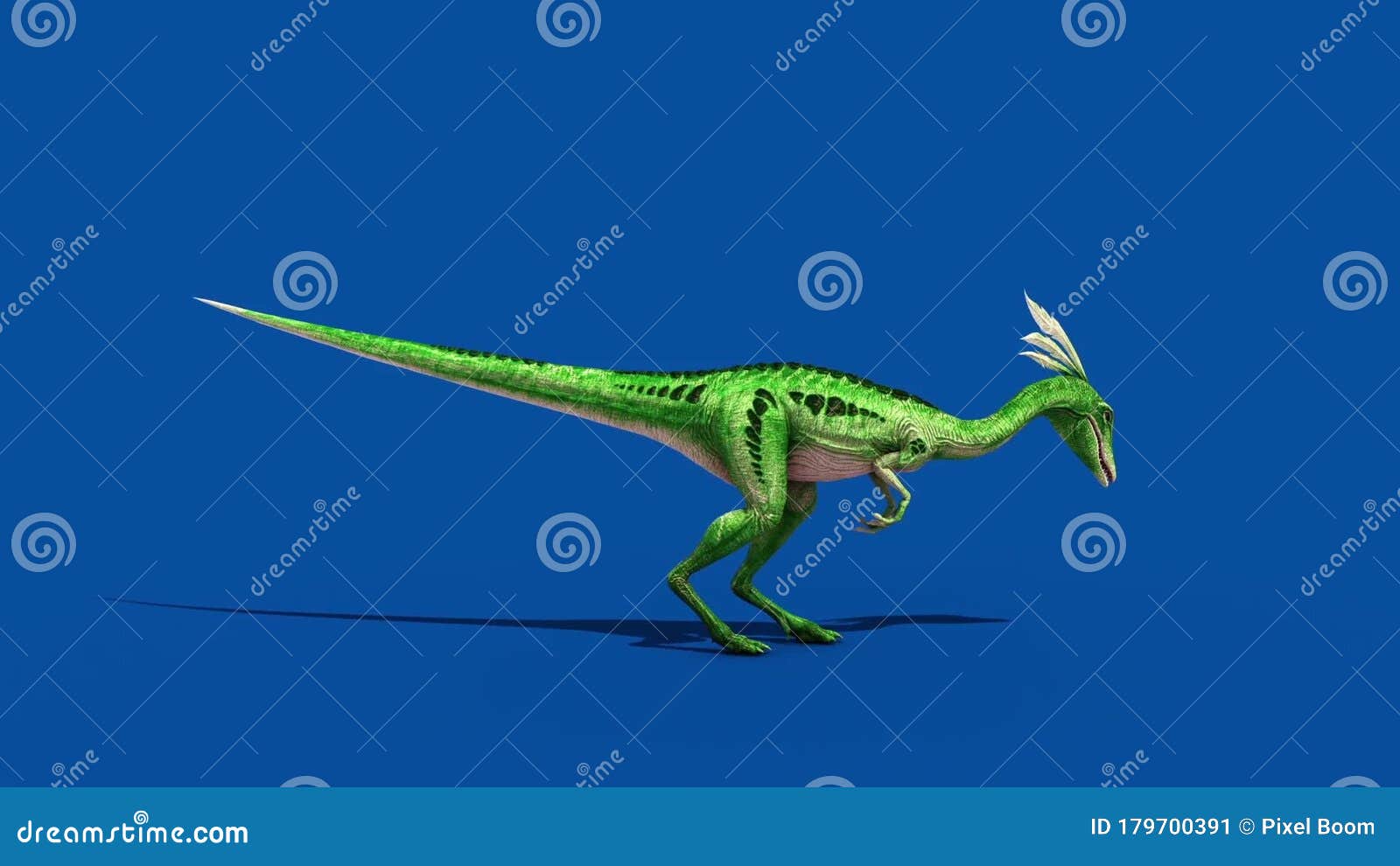 Compy Jurassic Dinosaur Attacks Blue Screen Side 3D Rendering Animation ...