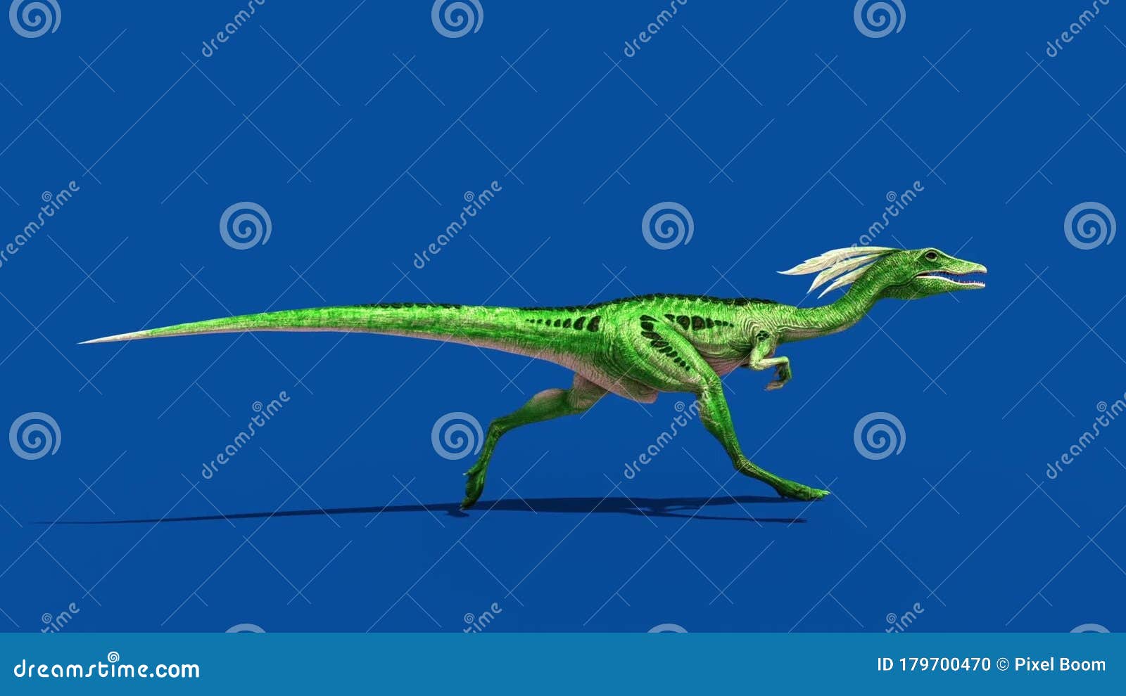 Compy Jurassic Dinosaur Fast Runcycle Blue Screen Loop 3D Rendering ...