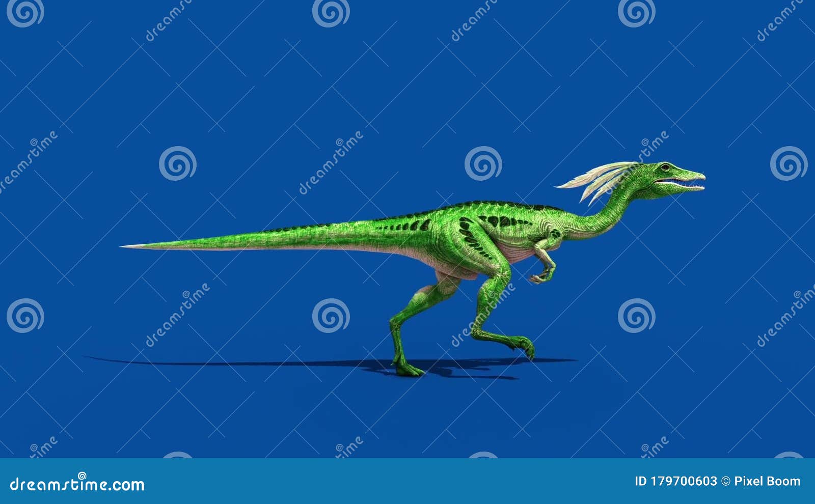 Compy Jurassic Dinosaur Runcycle Blue Screen Loop 3D Rendering ...