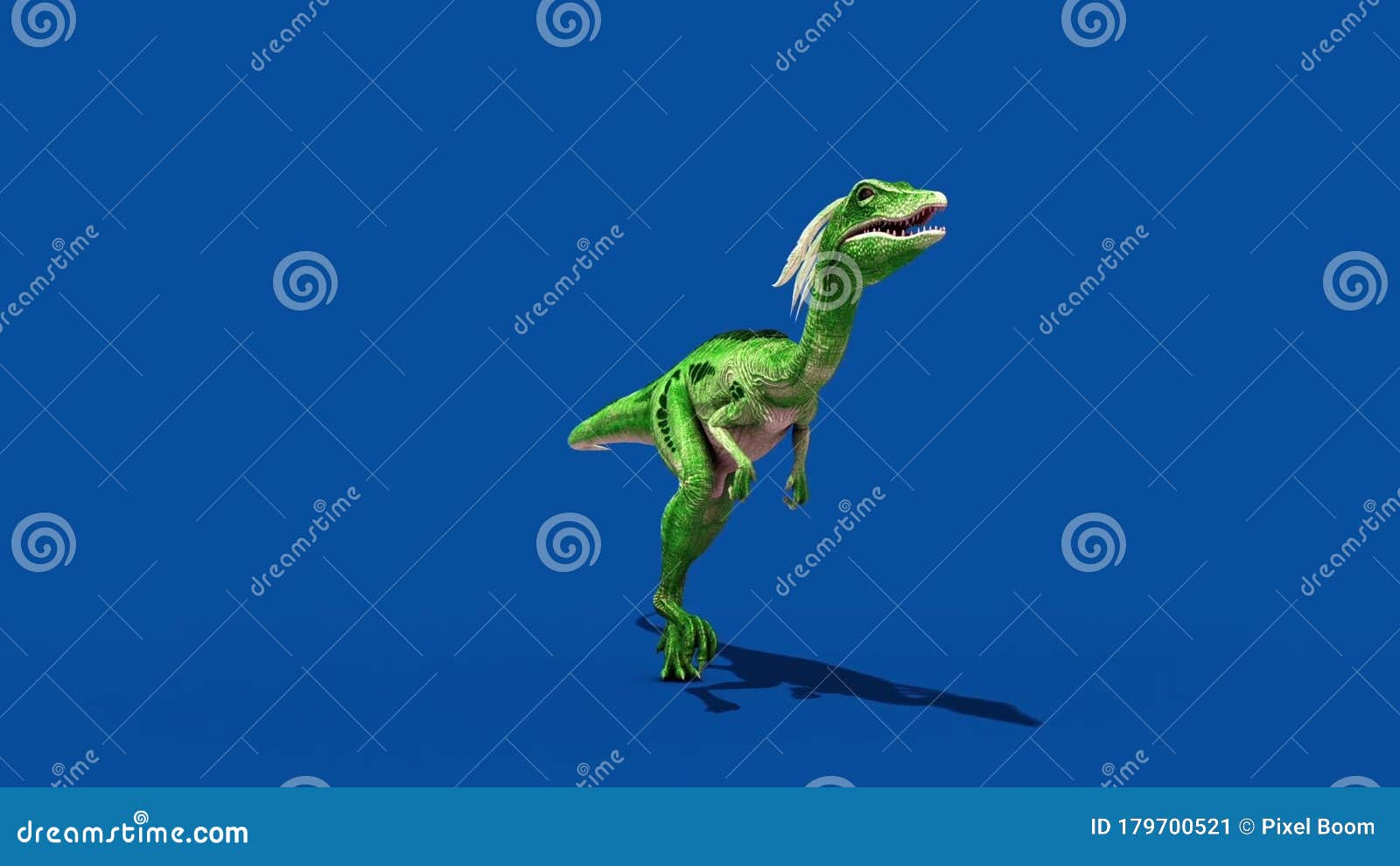 Compy Jurassic Dinosaur Runcycle Blue Screen Loop Front 3D Rendering ...