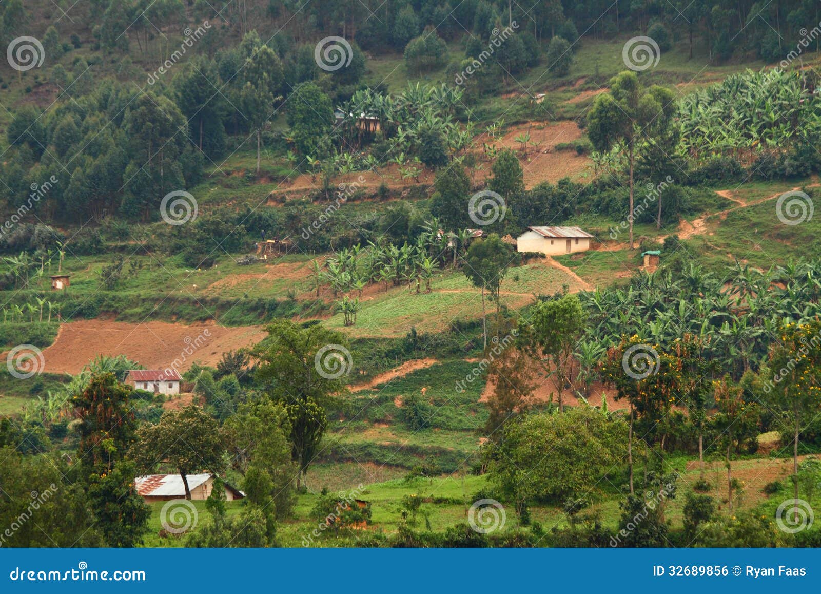 A Comunidade Rural De Uganda Foto de Stock - Imagem de cultivar, viajar ...