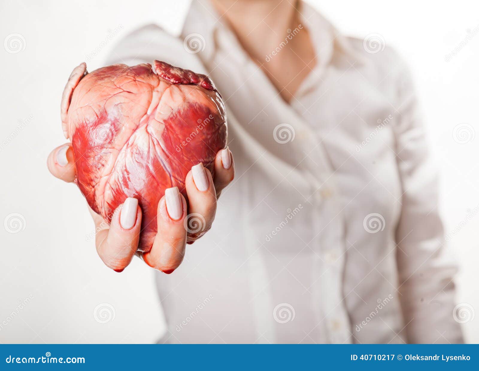 Con un corazón abierto imagen de archivo. Imagen de venas - 40710217