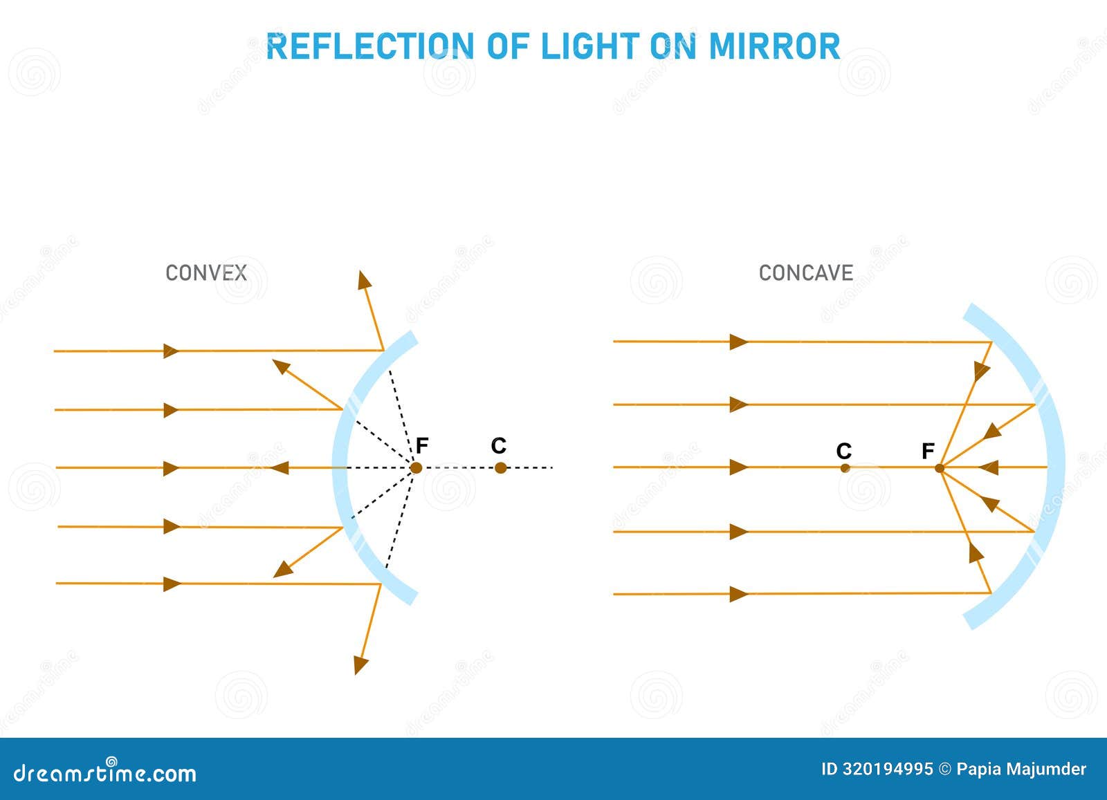 Ray Diagrams For Concave Mirror Vector Illustration | CartoonDealer.com ...