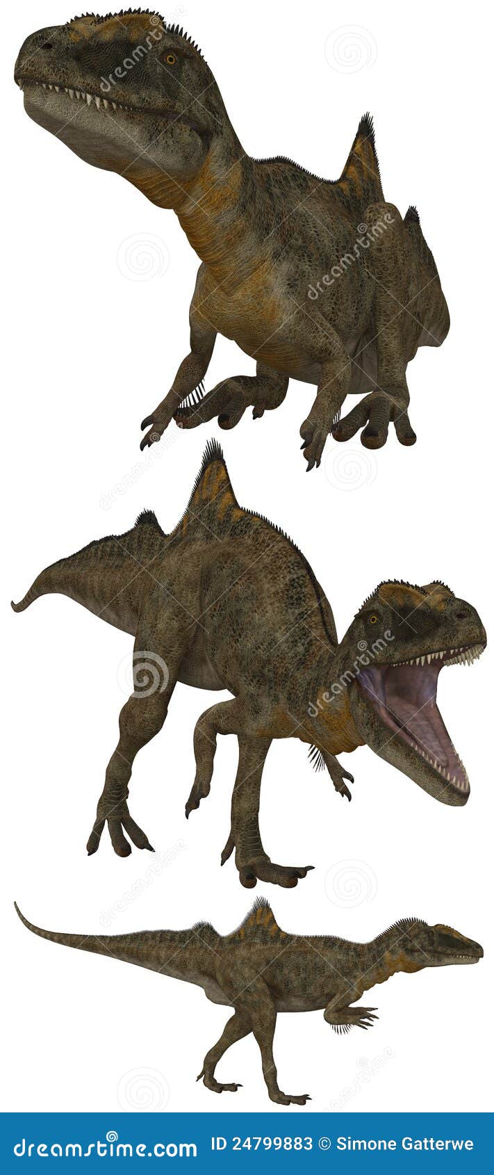 Concavenator stock illustration. Illustration of jurassic - 24799883