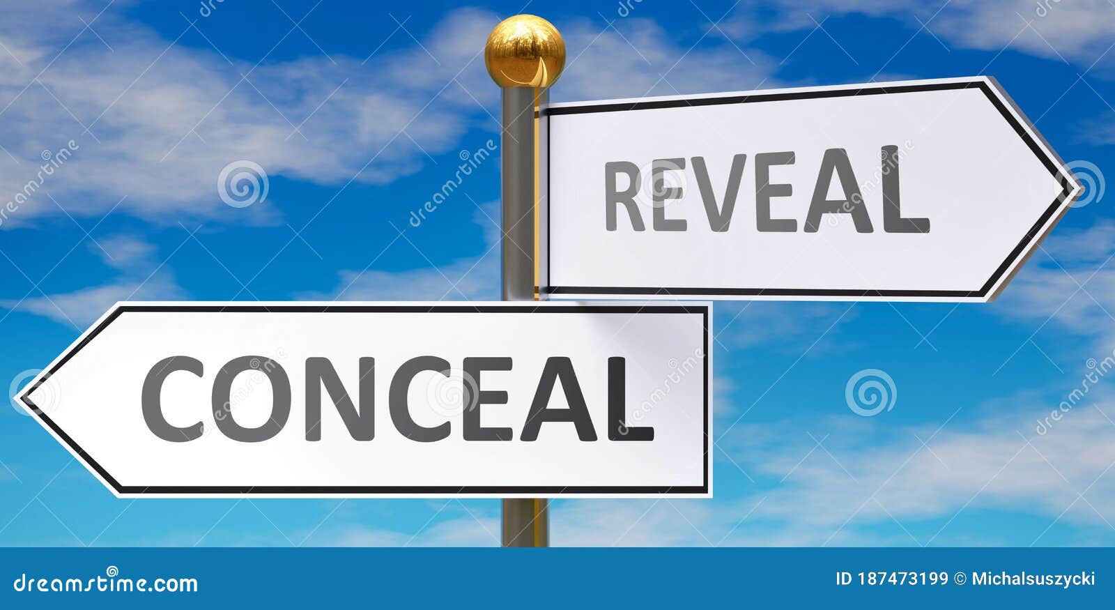 Conceal And Reveal As Different Choices In Life - Pictured As Words ... Conceal And Reveal As Different Choices In Life - Pictured As Words ...
