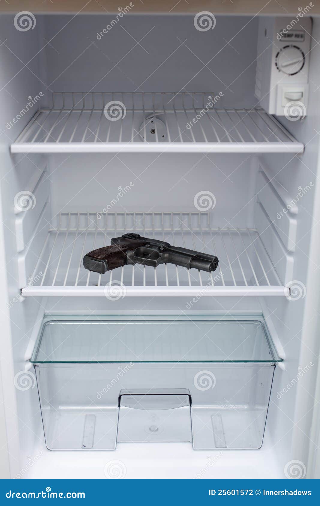 Concealed gun stock photo. Image of freezer, refrigerator - 25601572
