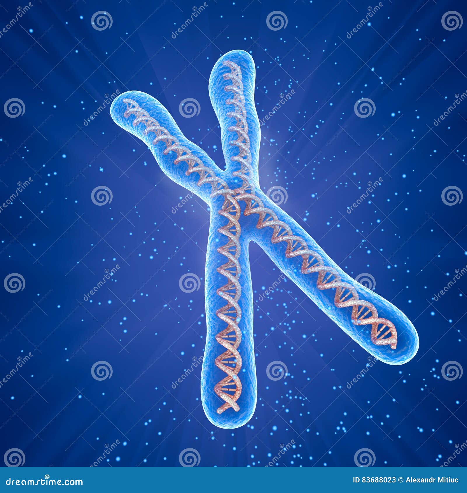 Conceito Da Molécula Do Cromossoma Ilustração Stock - Ilustração de ...