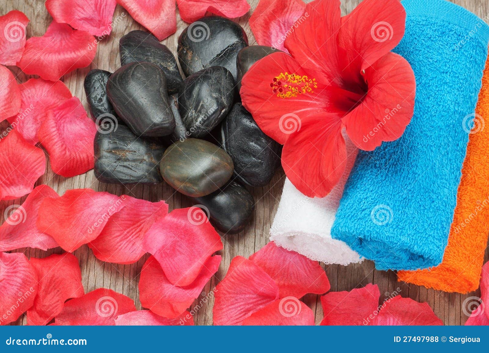 Conceito Das Flores, Zen Dos Termas. Foto de Stock - Imagem de pedra ...