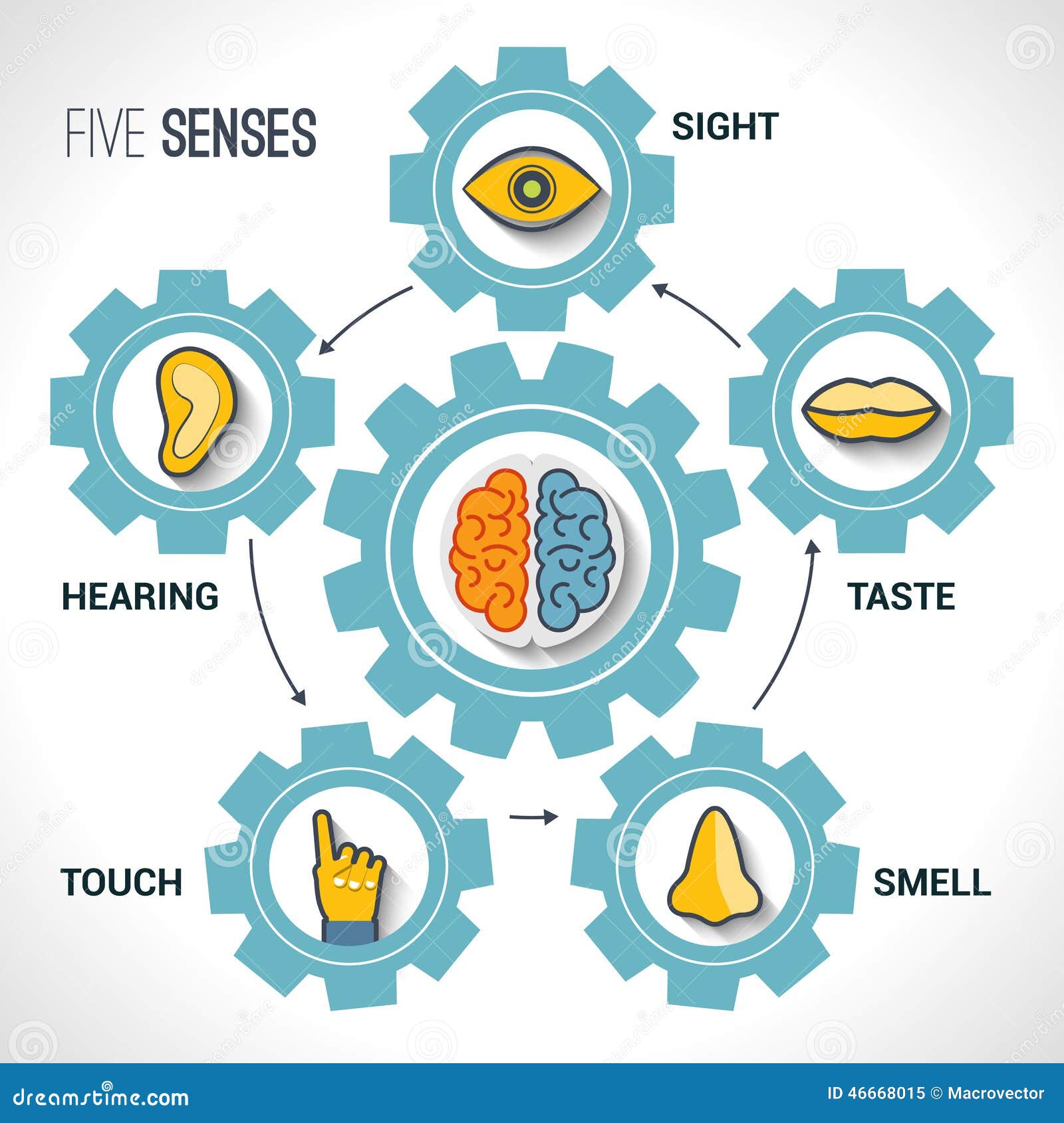 Conceito De Cinco Sentidos Ilustração do Vetor - Imagem: 46668015