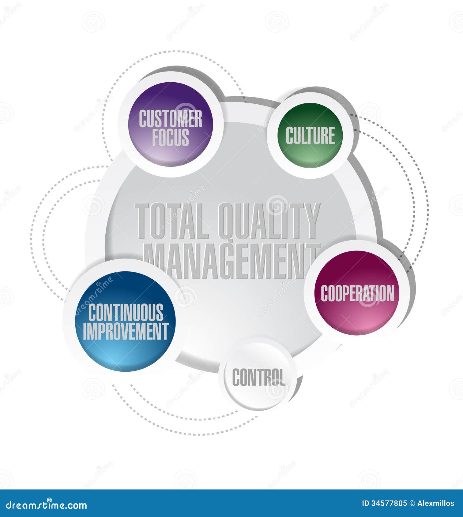 Conceito Do Diagrama Do Ciclo De Gestão Da Qualidade Total Ilustração ...