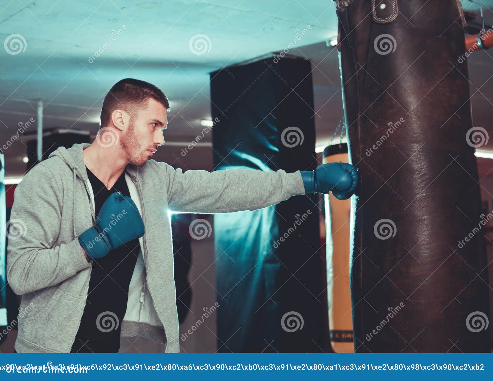Concentrated Boxer Direct Hit with Punching Bag Stock Image - Image of ...