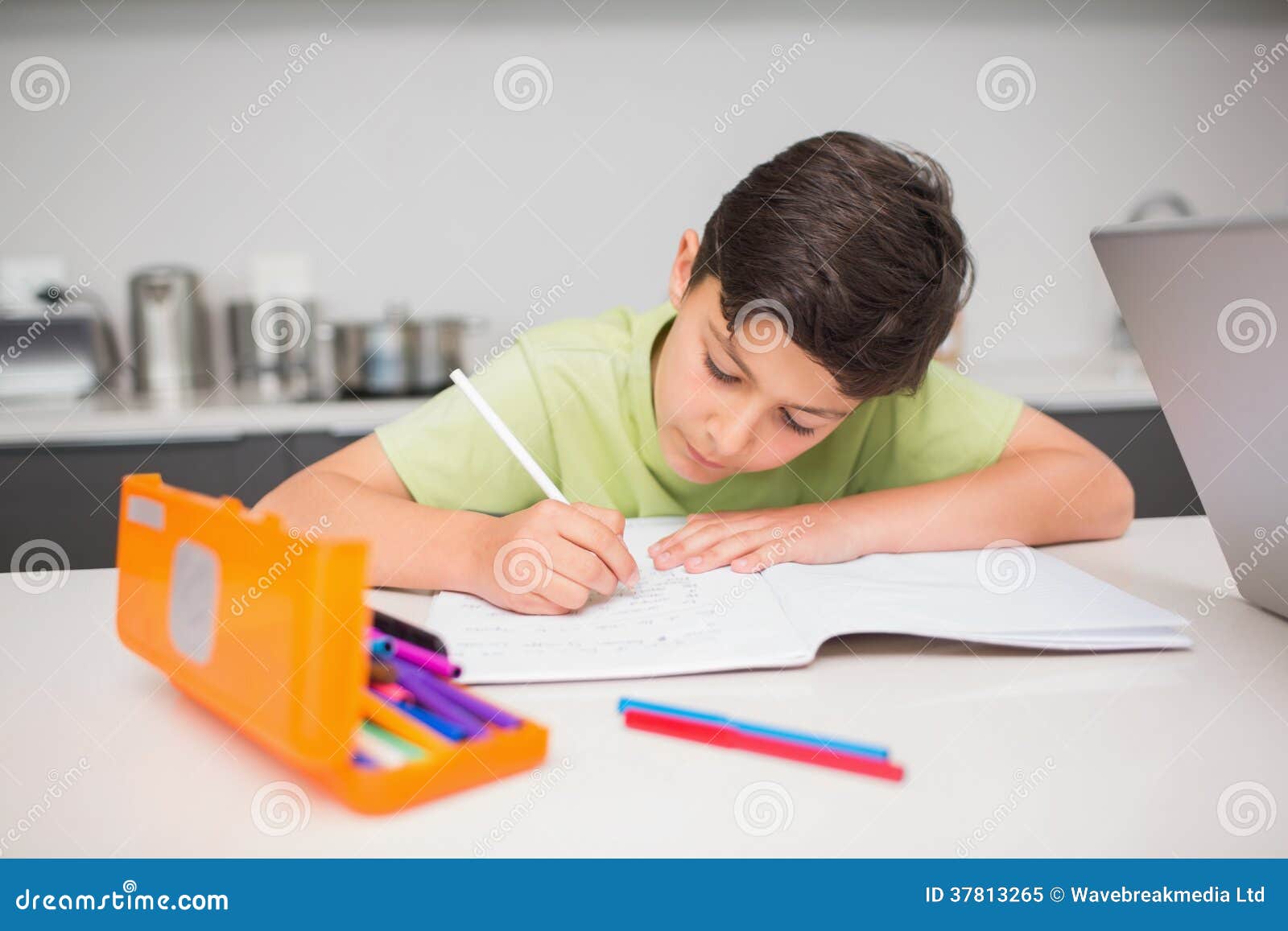 Concentrated Boy Doing Homework in Kitchen Stock Image - Image of ...