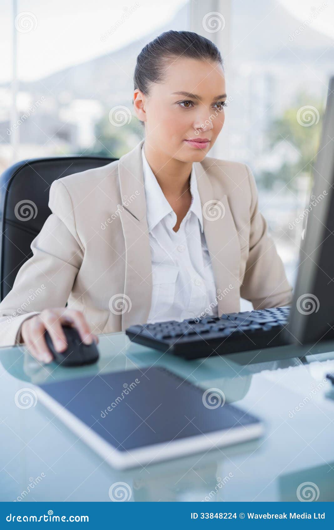 Concentrated Businesswoman Working on Computer Stock Photo - Image of ...