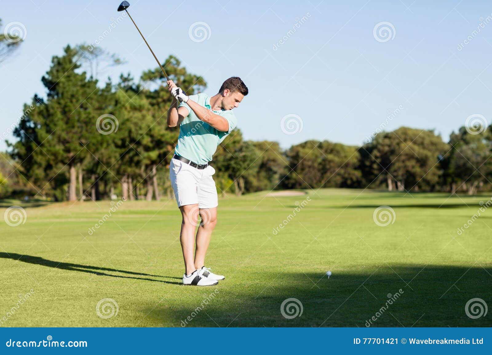 Concentrated Golfer Man Taking Shot Stock Image - Image of enjoyment ...