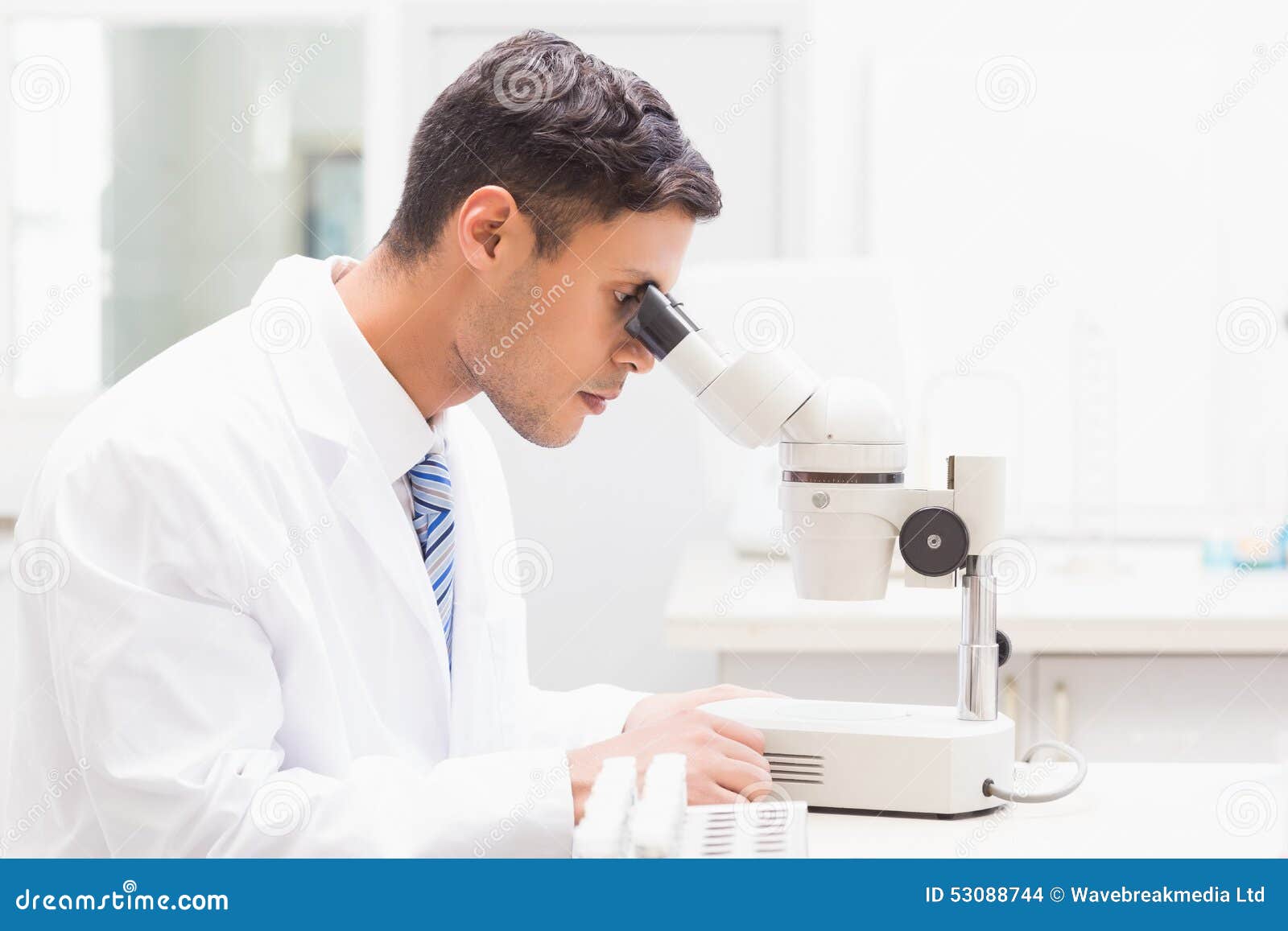 Scientist Observing Samples Of Oil Spill Under Microscope To Assess ...