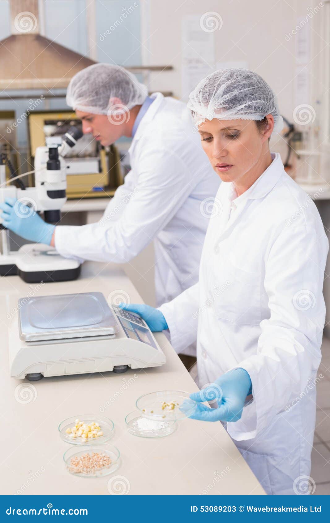 Concentrated Scientists Working with Seeds Stock Image - Image of ...