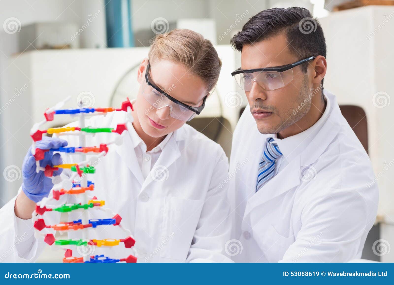 Concentrated Scientists Working Together with Dna Helix Stock Image ...