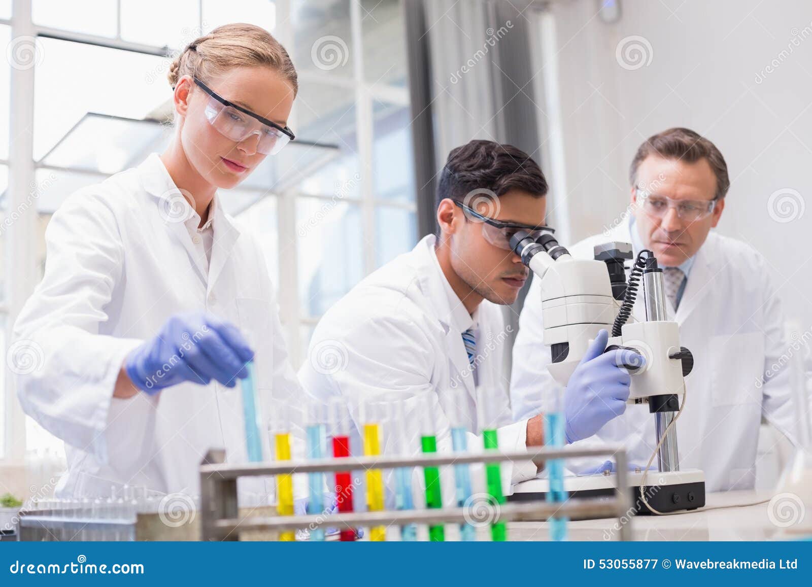 Concentrated Scientists Working Together Stock Image - Image of ...
