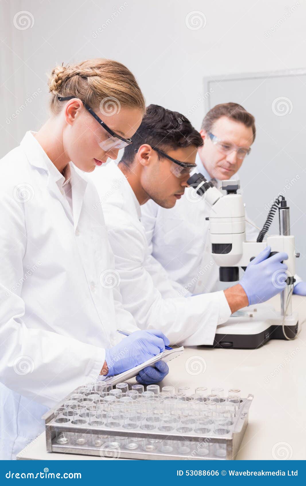 Concentrated Scientists Working Together Stock Photo - Image of looking ...