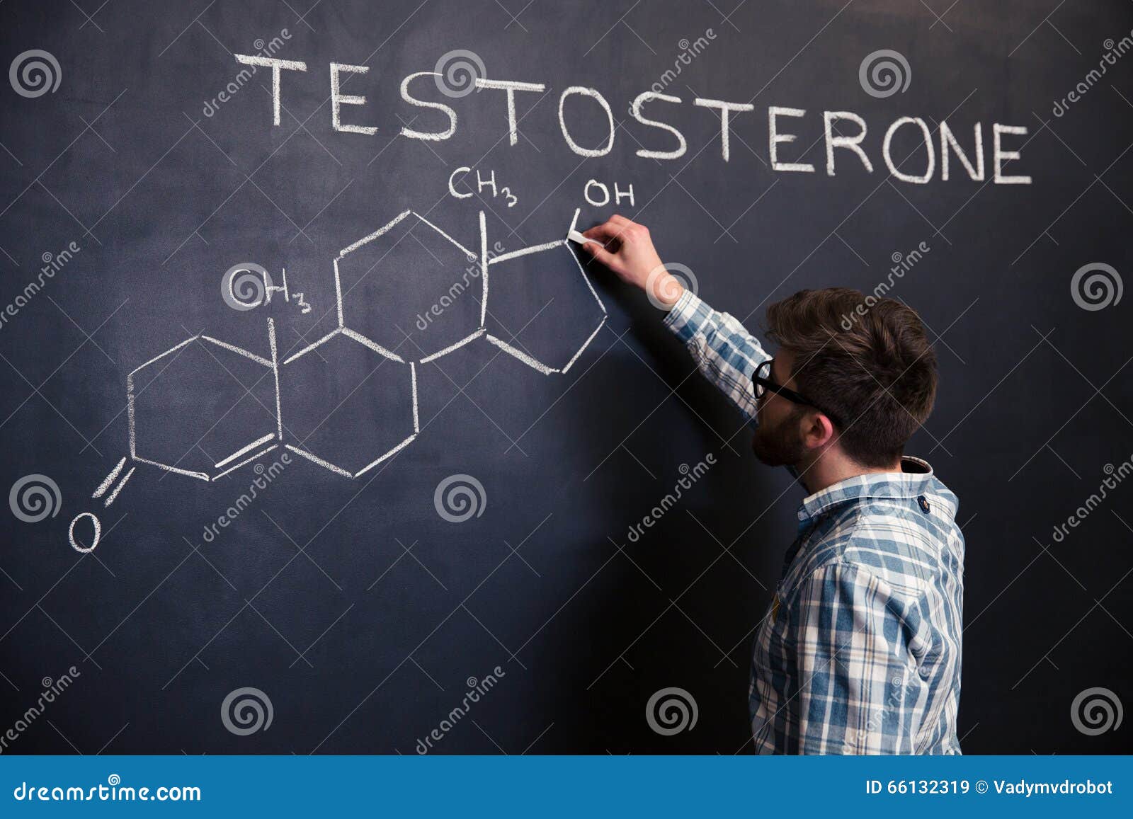 Concentrated Student Drawing Chemical Structure of Testosterone ...