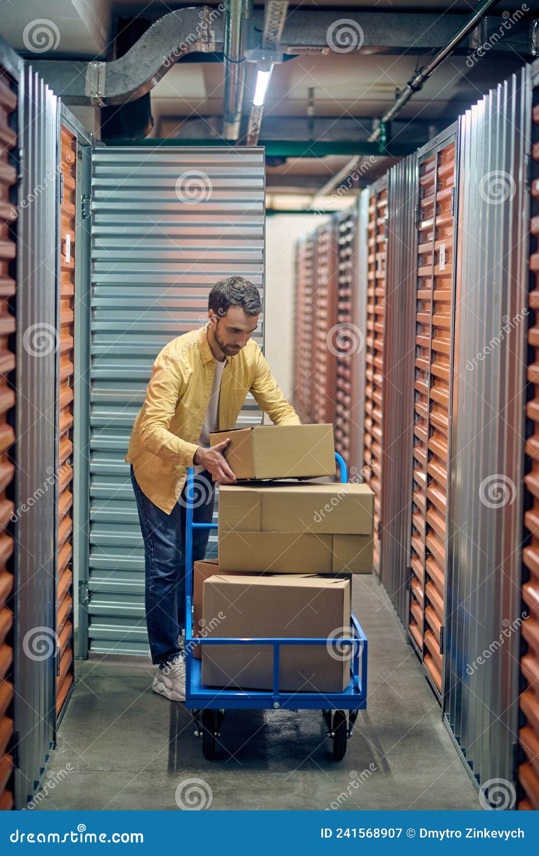 Concentrated Worker Stacking Boxed Goods on the Platform Trolley Stock ...