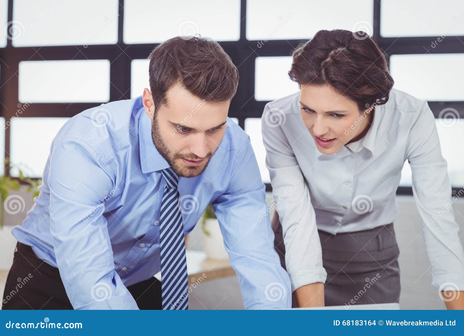 Concentrated Young Business People in Office Stock Photo - Image of ...