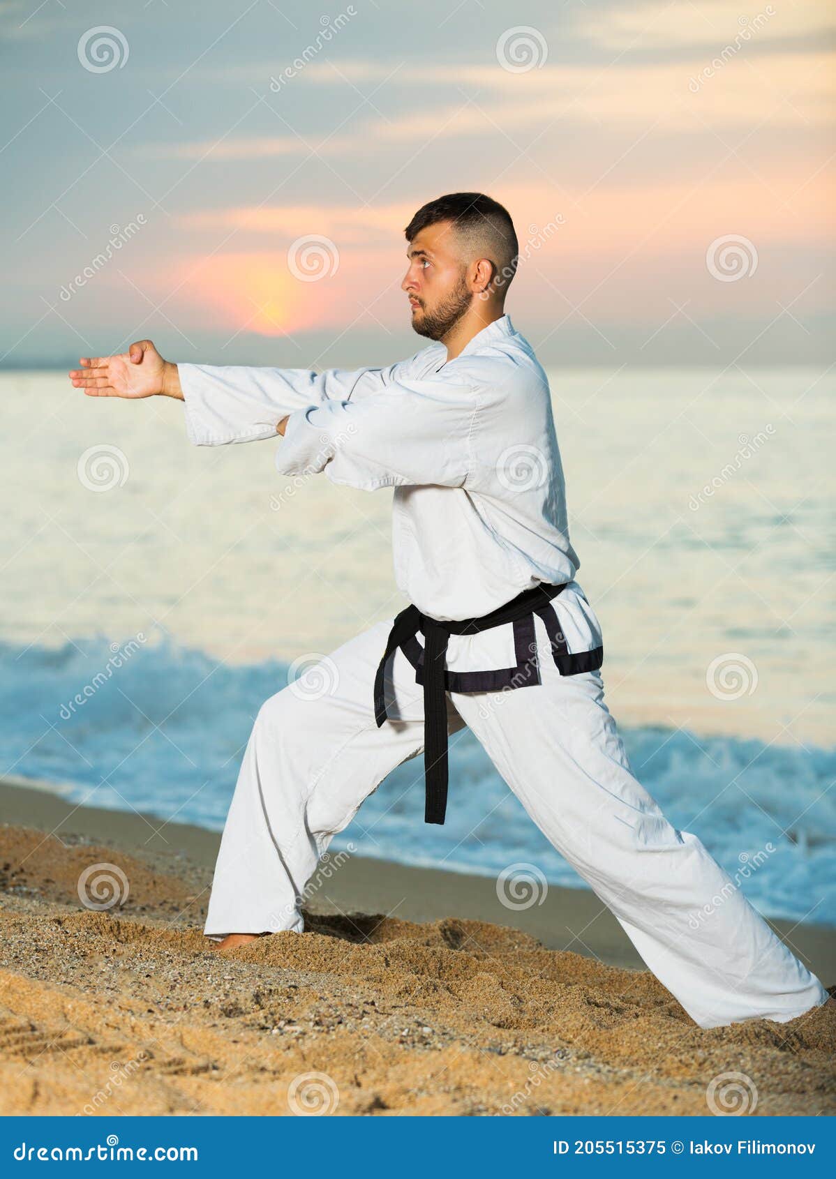 Guy doing karate poses stock image. Image of kicking - 205515375