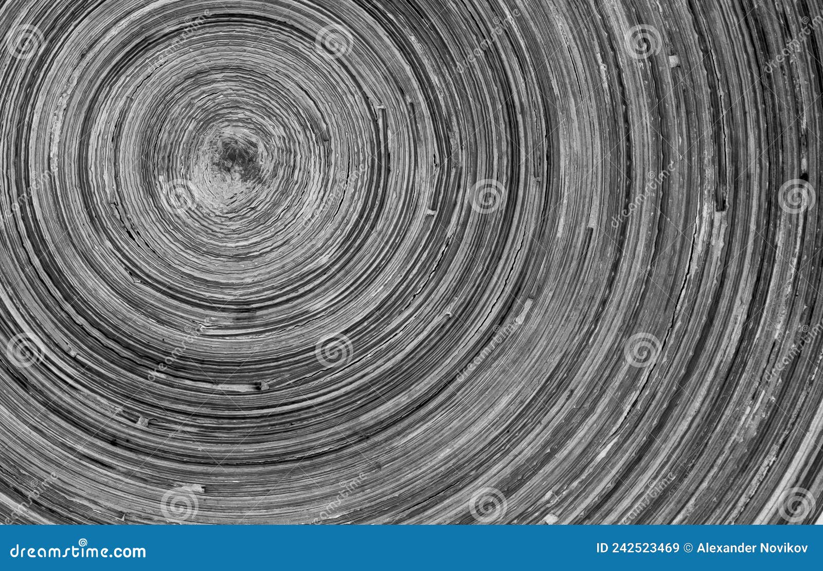The Concentric Abstract Background with Wood Texture Stock Image ...