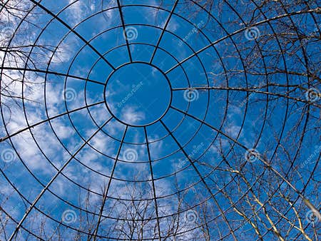 Concentric Circles stock image. Image of trees, arbor - 14095179