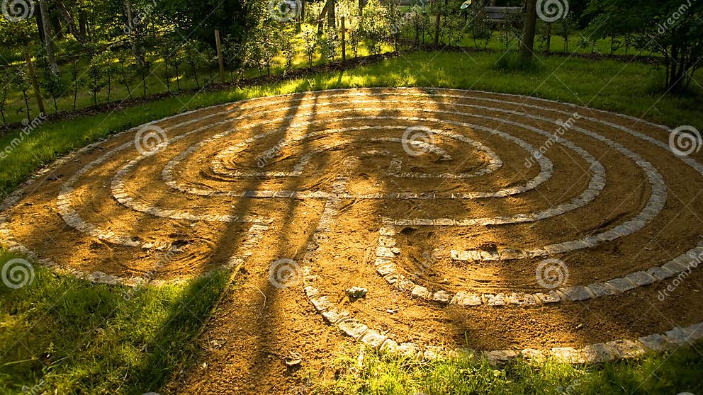 Concentric circles stock image. Image of middle, trees - 5367713