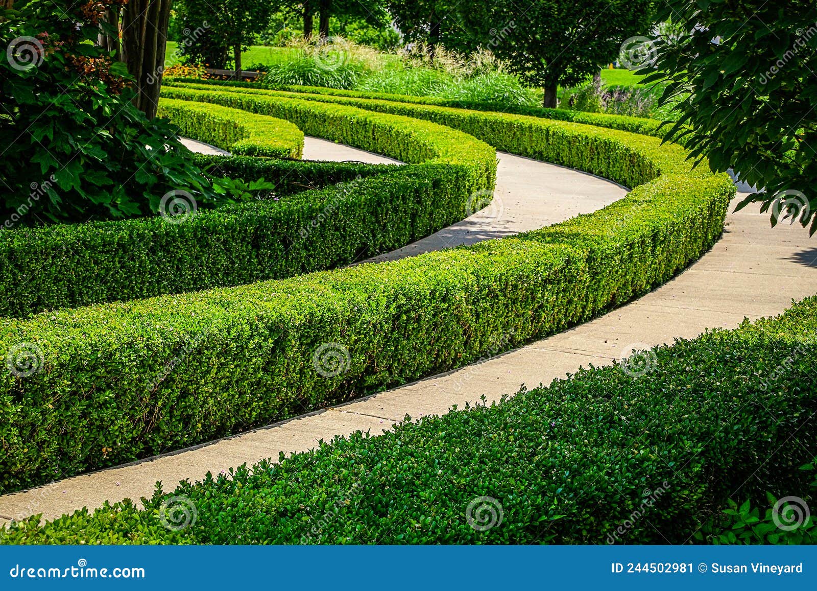 Concentric Circles of Paved Walkway Separated with Hedges and Edged ...